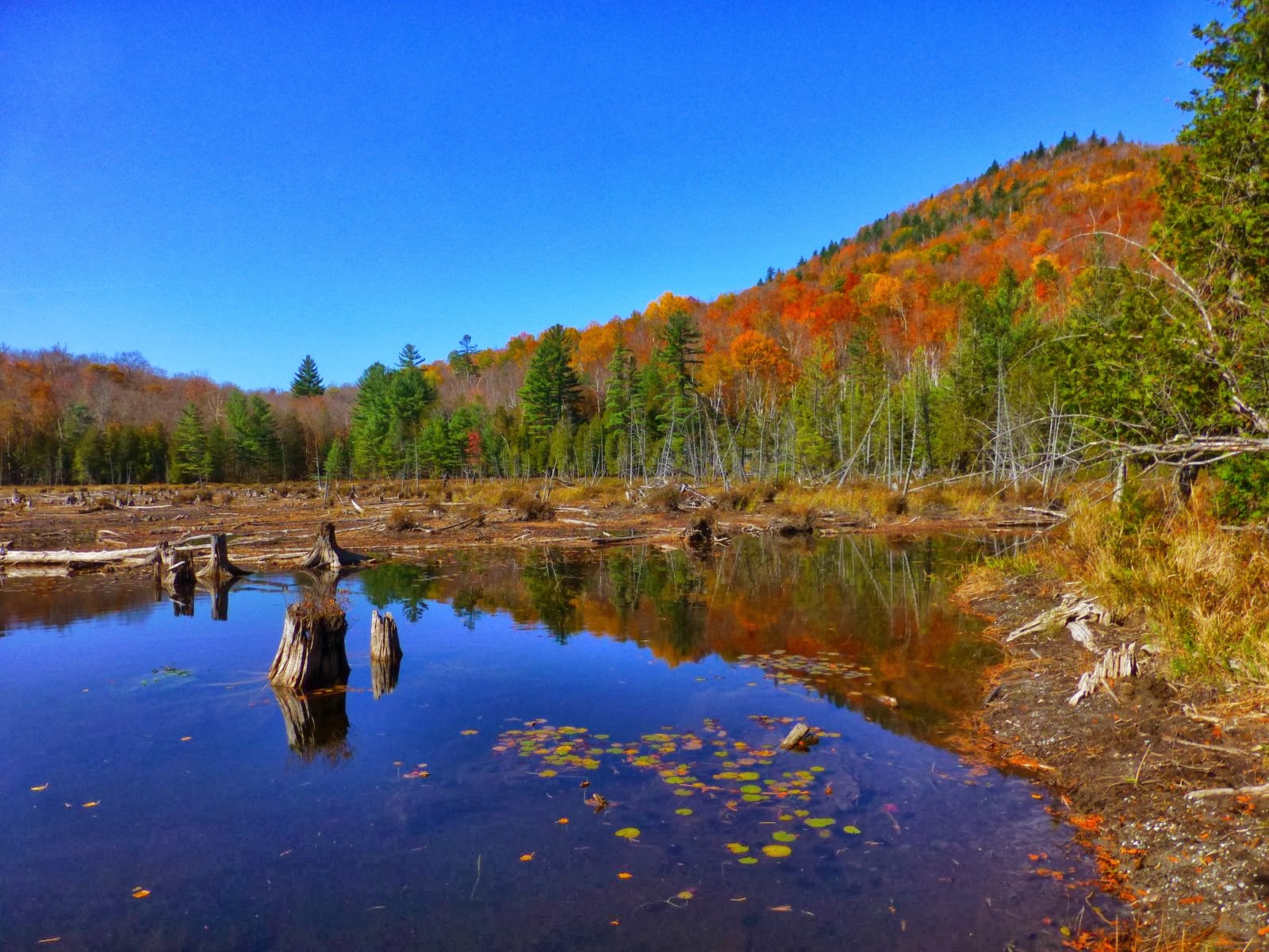 Off on Adventure: Marsh Pond Mountain - Dix Mountain Wilderness Area ...