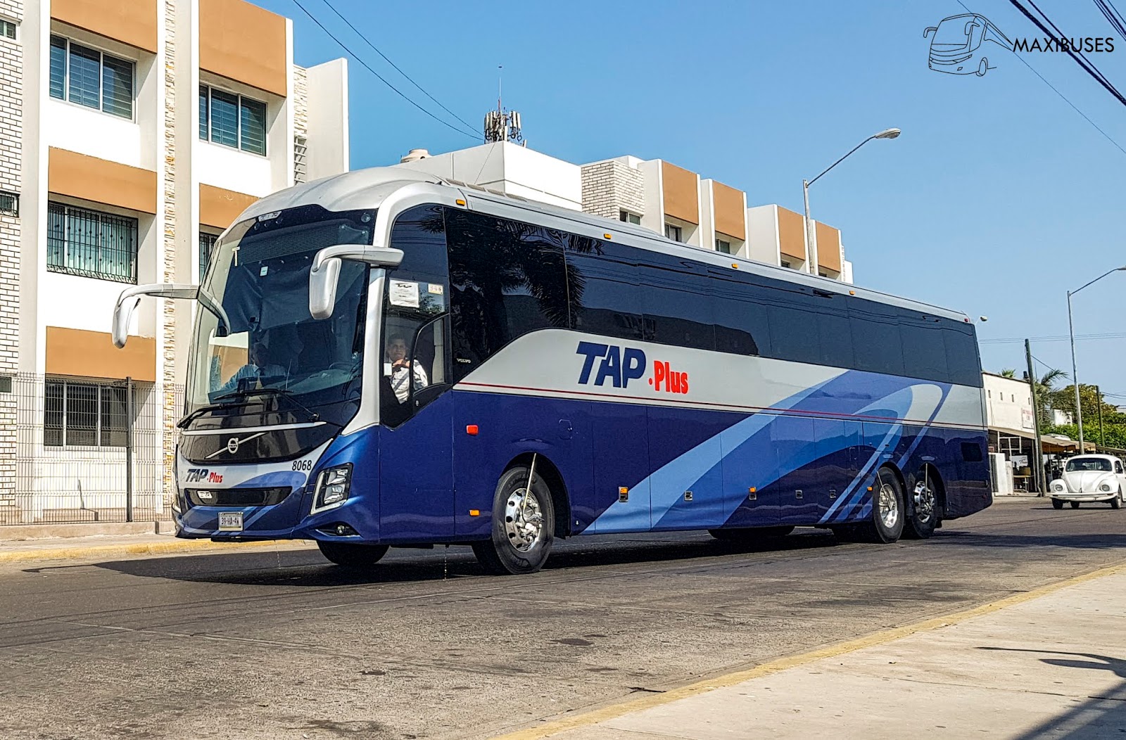 MAXIBUSES: TRANSPORTES Y AUTOBUSES DEL PACÍFICO, PLUS (TAP)