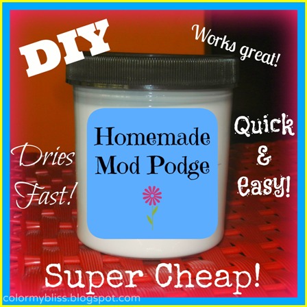 Color My Bliss: DIY Mod Podge