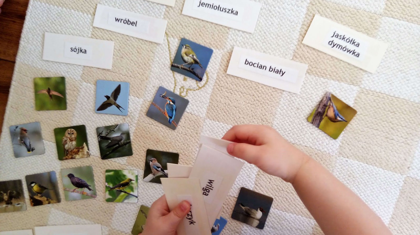 Memory: 5 zupełnie nowych sposobów na wykorzystanie gry!