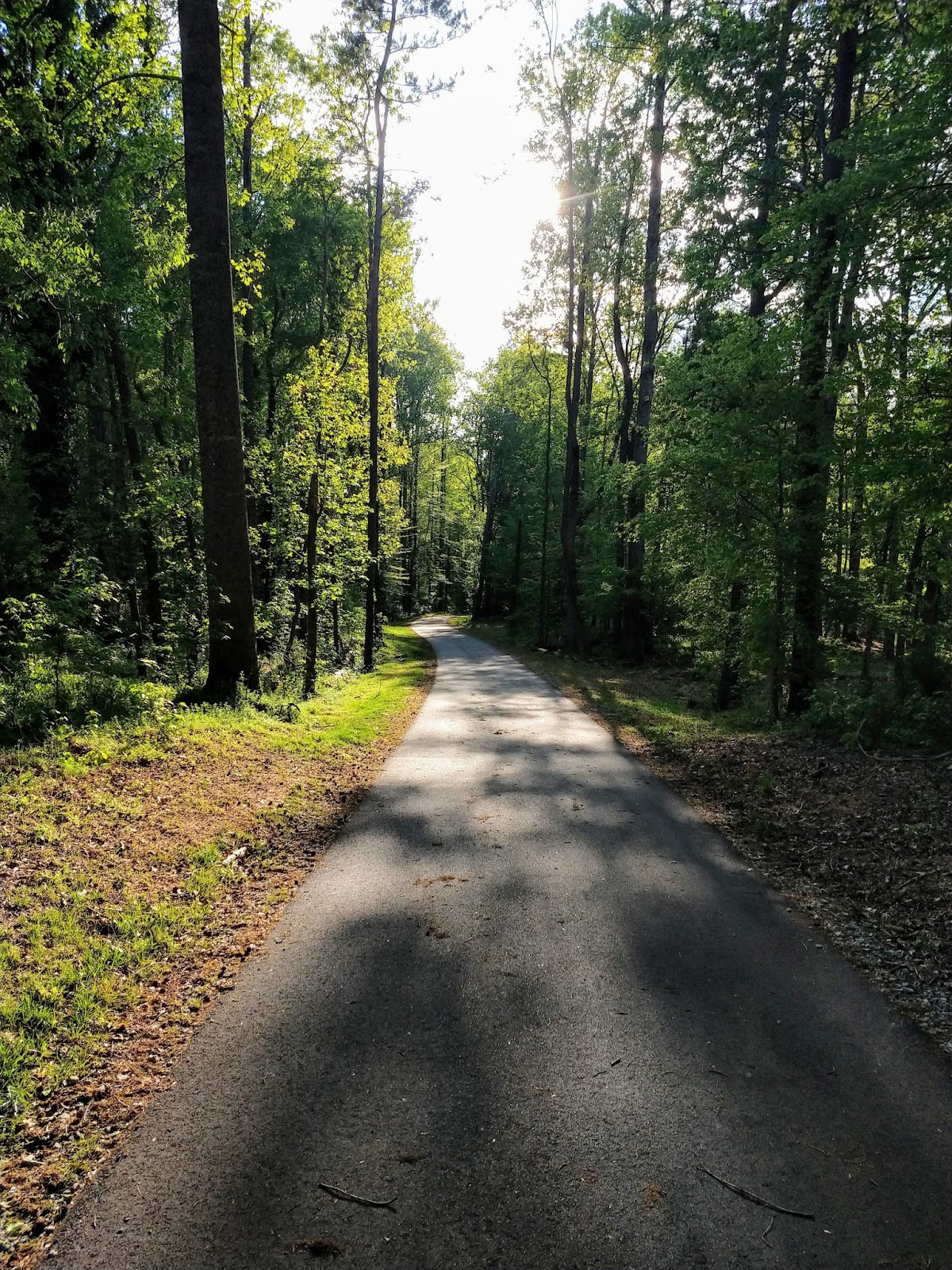 Jason's Jaunts: High Point Greenway