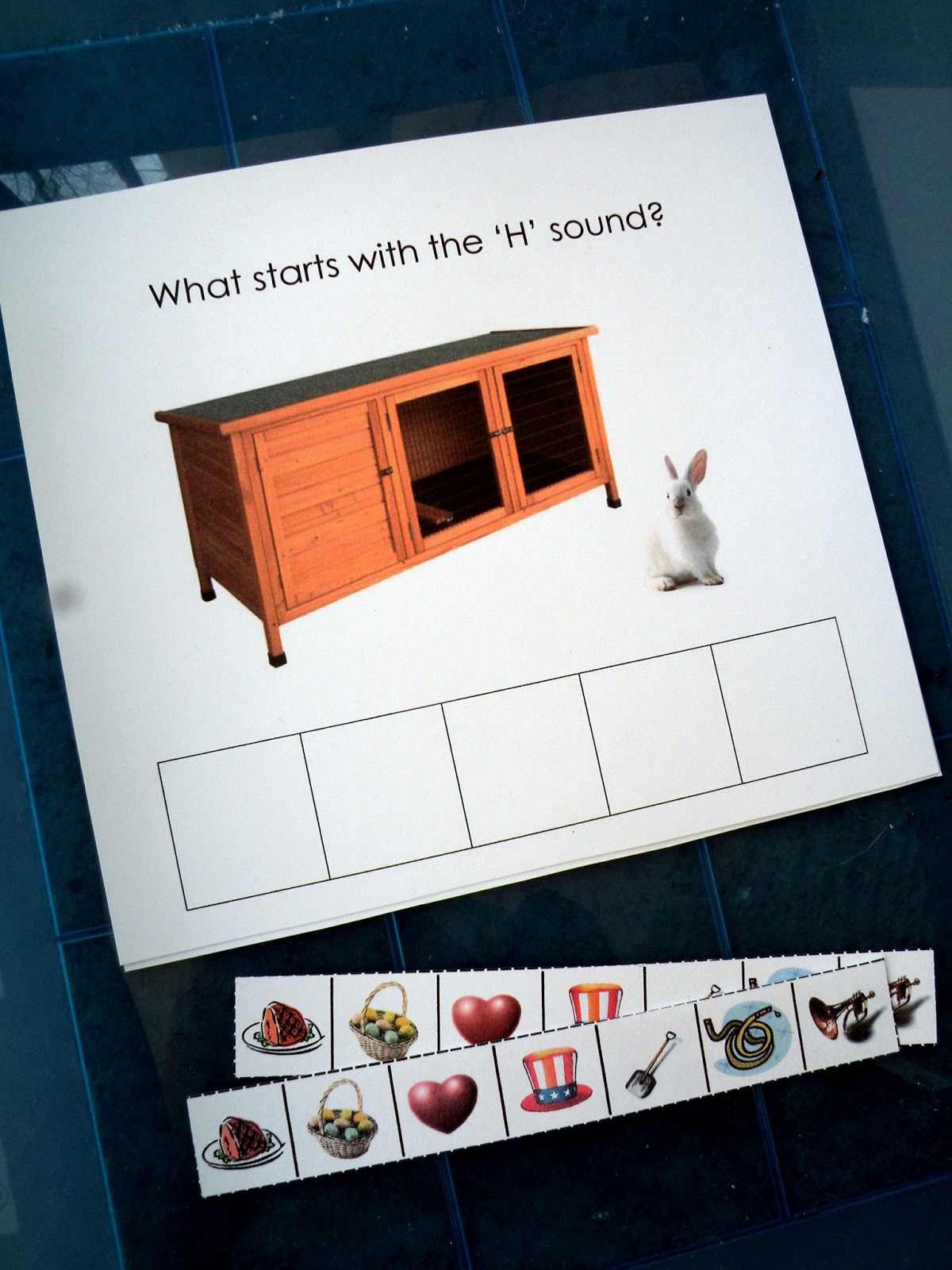 The Fantastic Five: Little Rabbit Learning