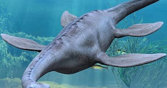 Italys Lake Como Has A Monster Called Lariosauro Italy