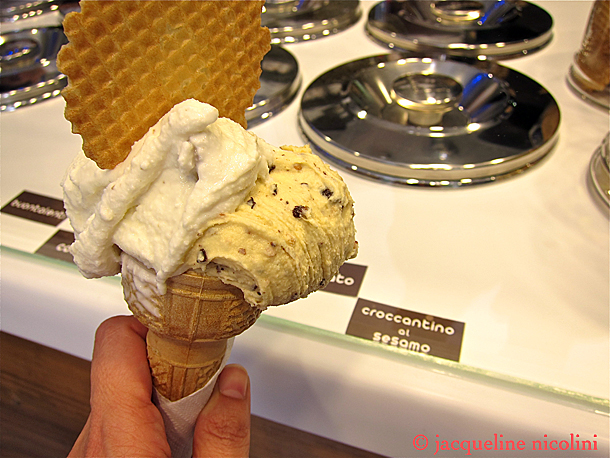 Jac the Bee and The Traveling Camera: A Gelato Challenge in Florence, Italy