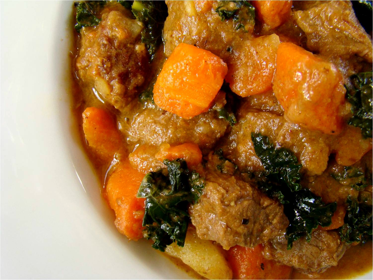 Kale & carrot beef stew