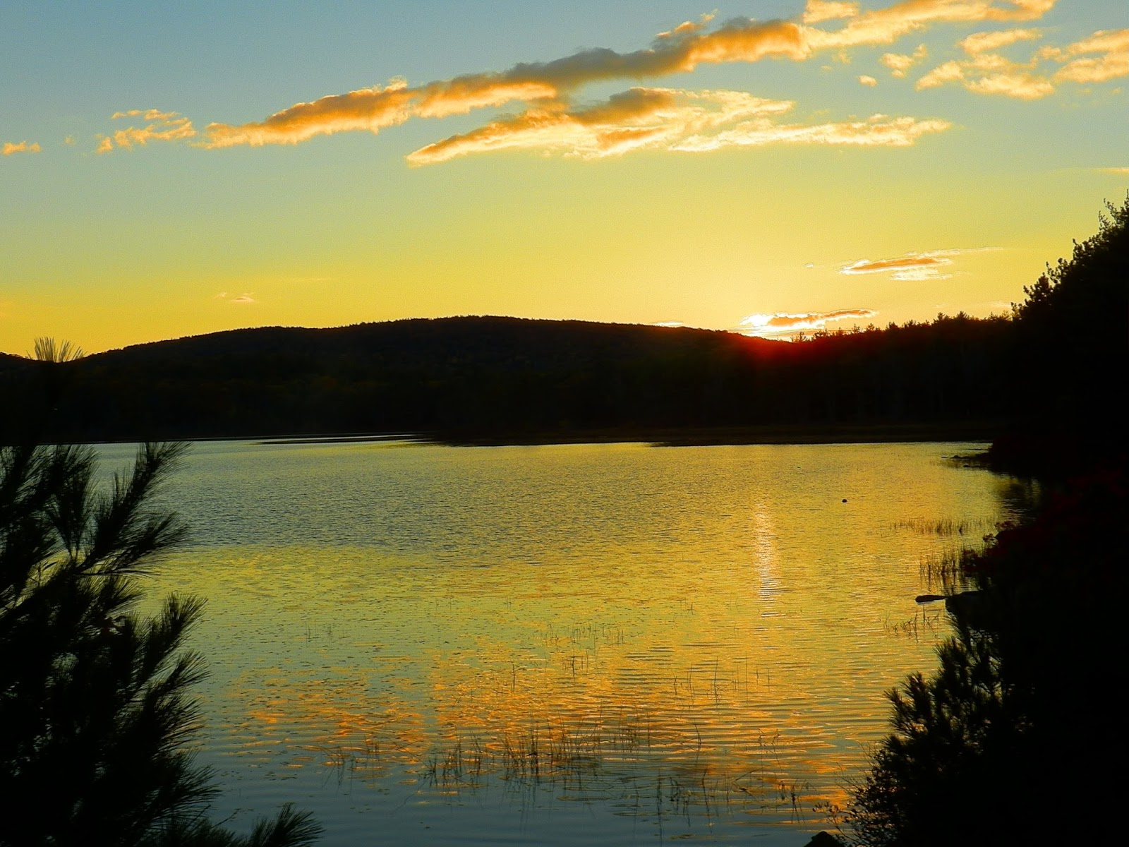 ABANDONED TRAILS OF ACADIA NATIONAL PARK: ABANDONED WITCH HOLE POND ...