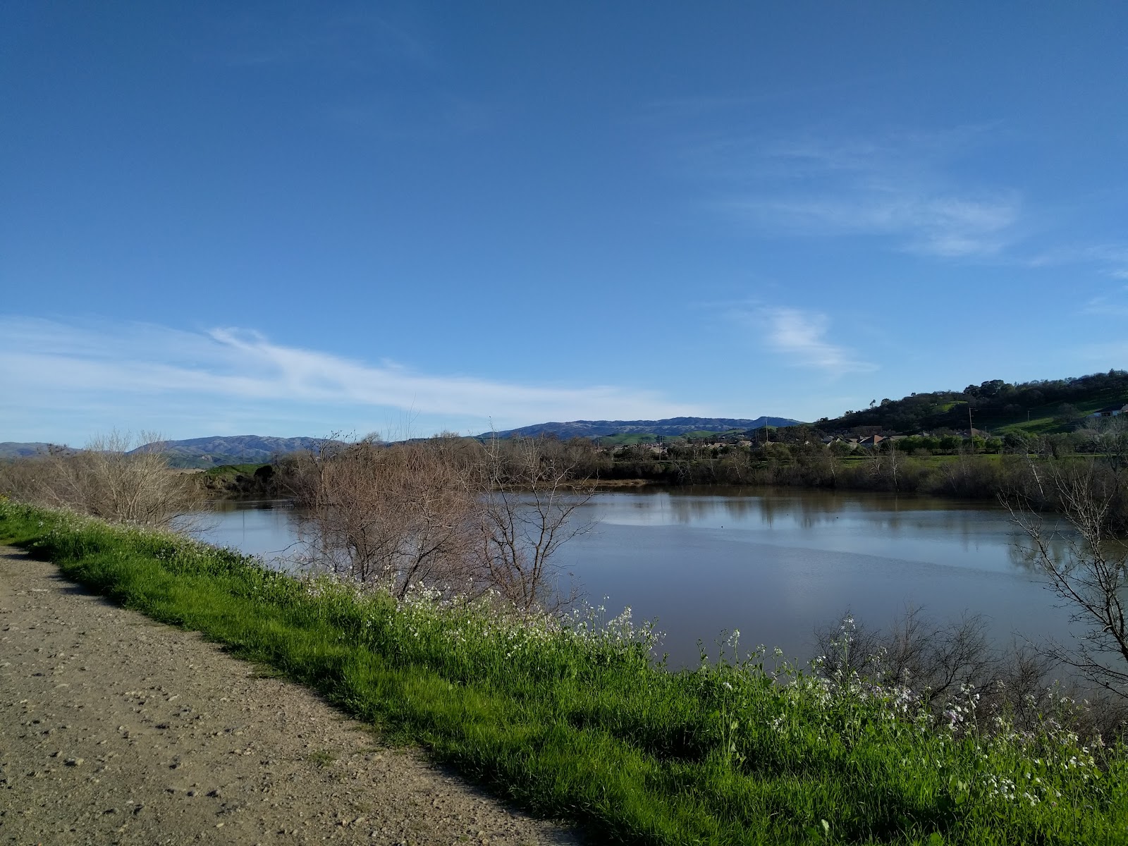 Naturetastic Blog: Shadow Cliffs Regional Park - Pleasanton, CA ...