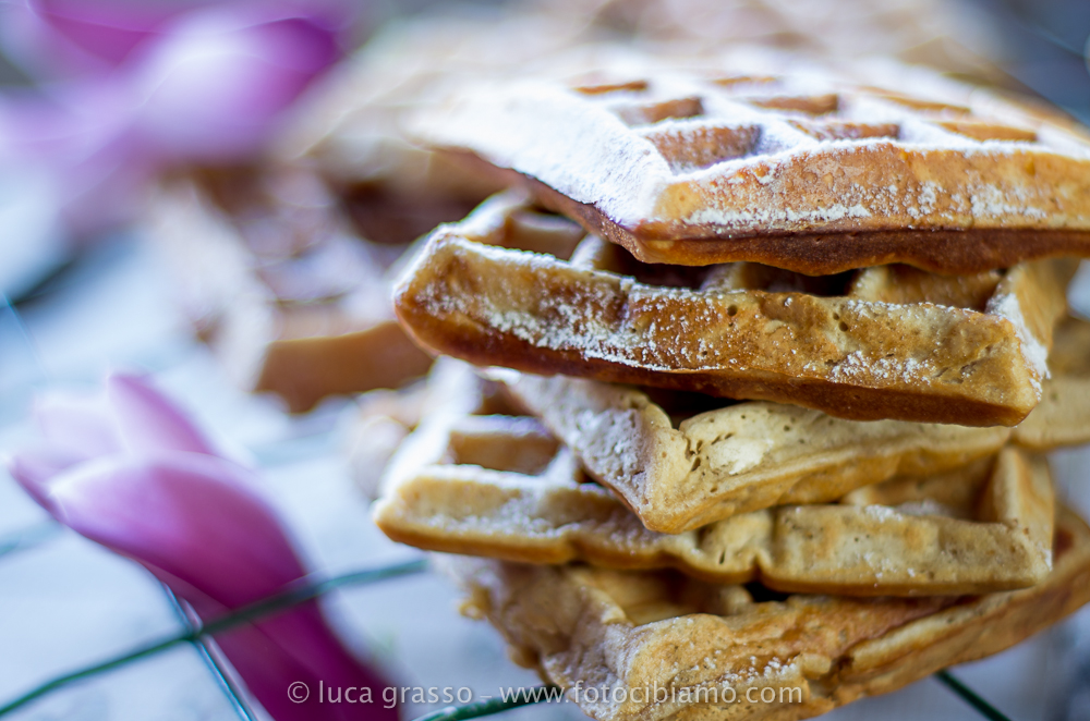 fotocibiamo: WAFFLE DI FARINA DI CASTAGNE......e ospiti poco graditi!