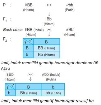 Biologi SMABA: PERSILANGAN DALAM PEWARISAN SIFAT