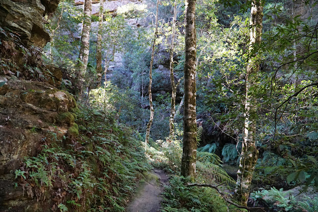 Grose Valley (NSW) ~ The Long Way's Better