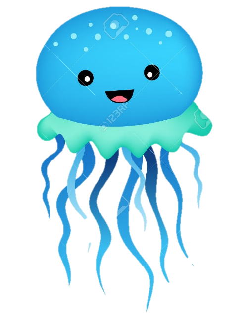 Cm Da Biologia: FILO CNIDARIA