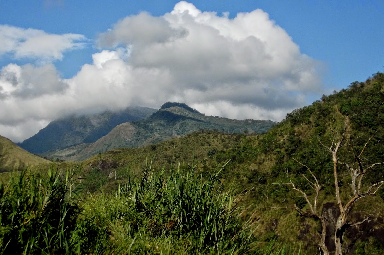 Canticle of Creation: Calanasan ... Apayao River & Mountains