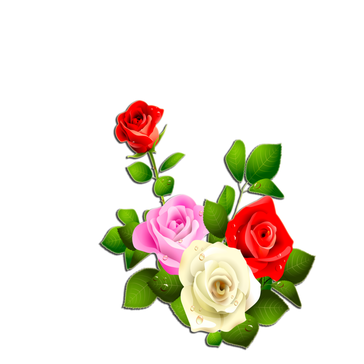 Sussurro De Amor Alfabeto Png Textura Preto Rosas Coloridas