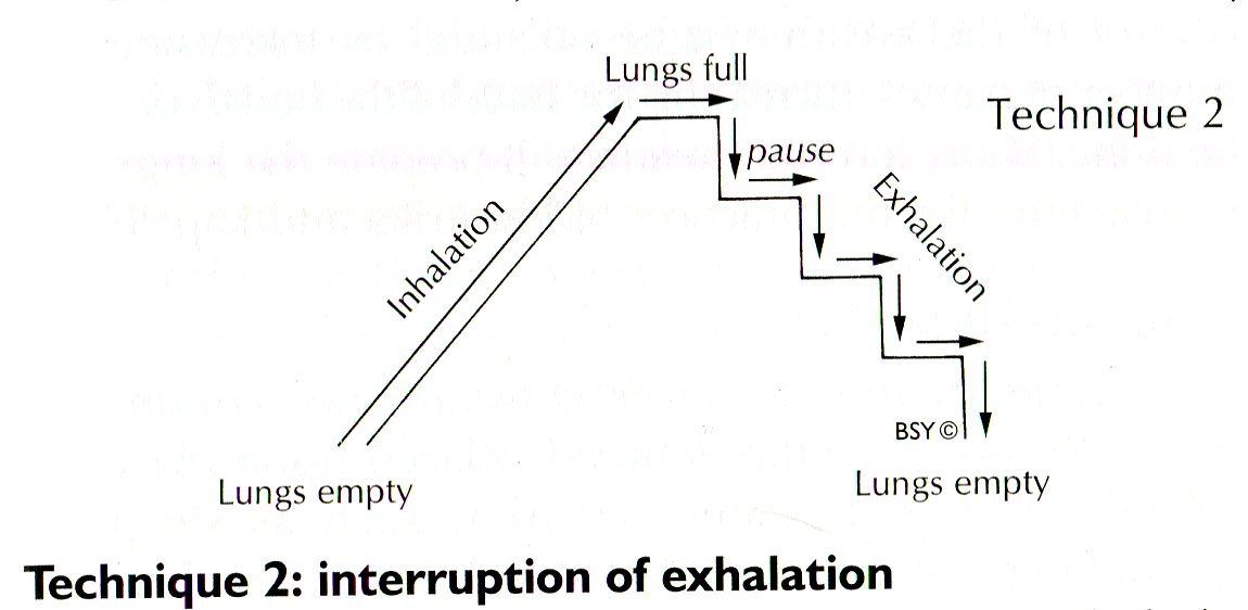 Art/Yoga Fusion: Viloma Krama - Stair Step Breathing