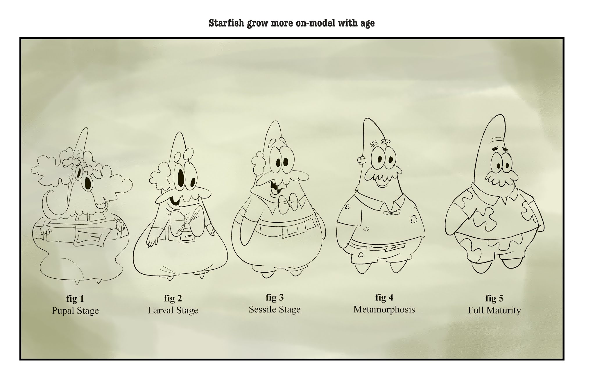 NickALive!: 'The Patrick Star Show' Crew Member Looks at Why Patrick's ...