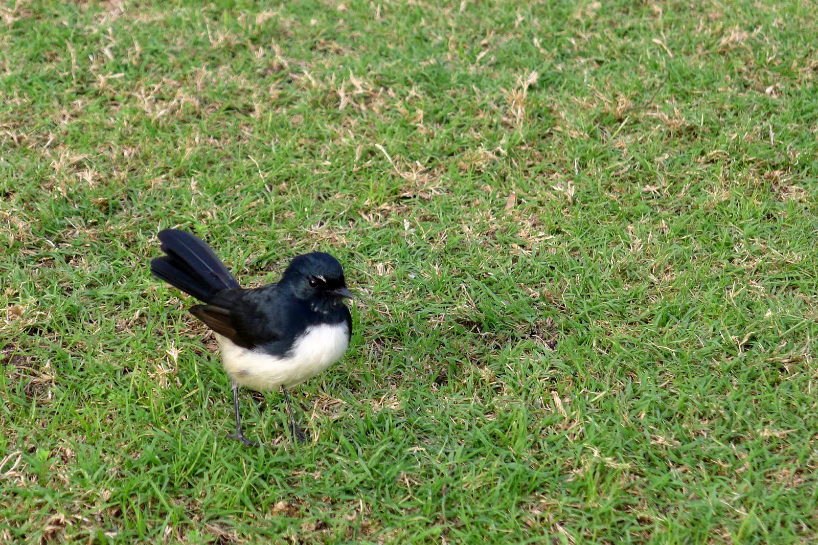 Beaux Rigènes : Back on the Road !: Joff-tchoff-tchoffo-tchoffo-tchoff ...