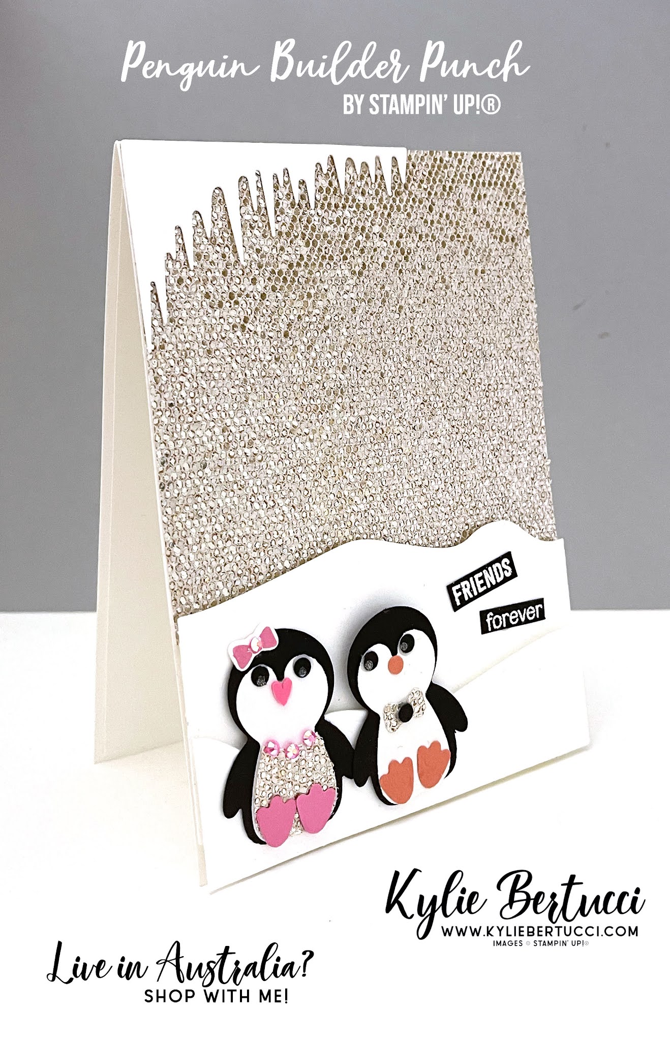 Penguin Builder Punch | Meet our Punch Art friends Penelope and ...