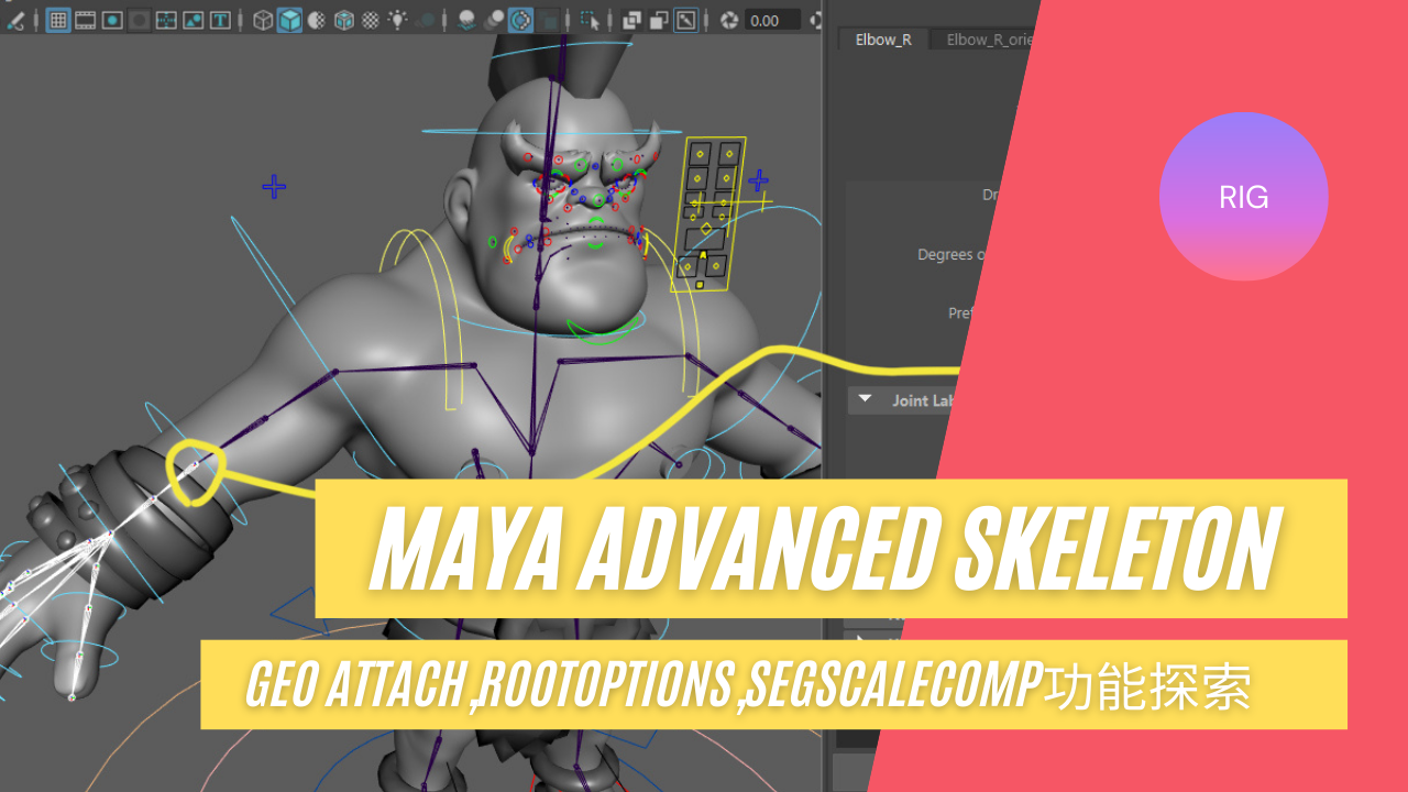 【Maya Advanced Skeleton 各種功能持續探索-2】有關Geo Attach、RootOption、segScaleComp