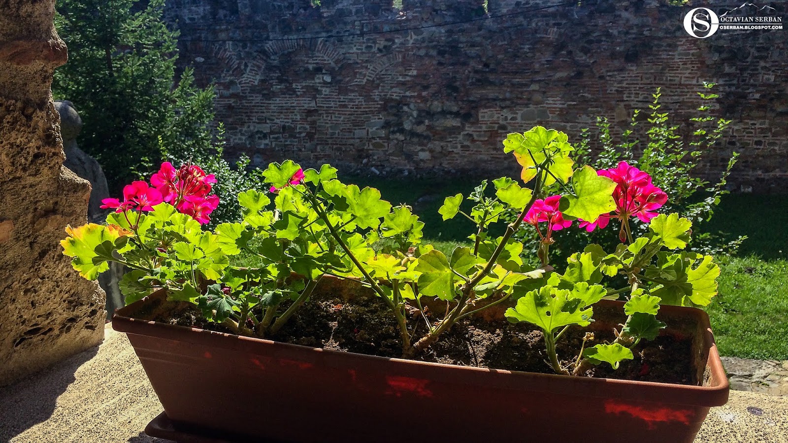 Octavian Serban: Brebu Monastery...