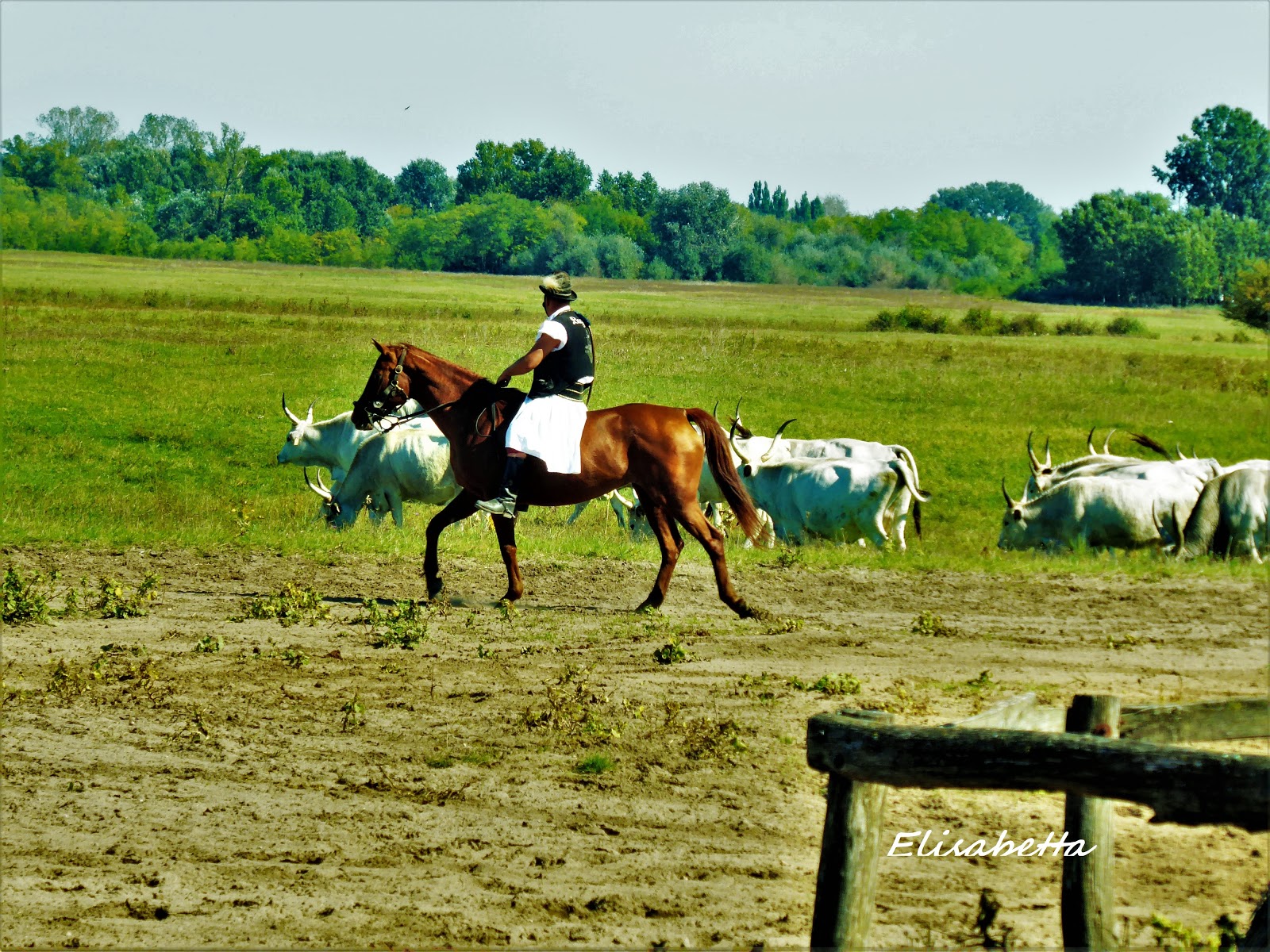 Morgen ist alles anders: Die Bugac Puszta.....
