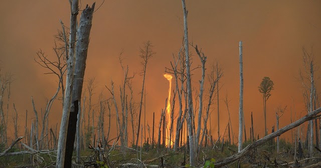 The Fire Whirl – Nature’s Fiery Funnel
