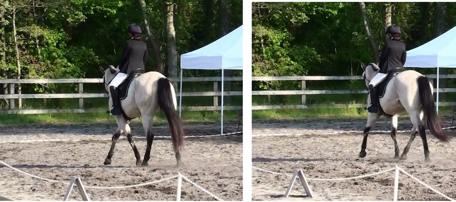 Memoirs of a Horse Girl: Riding Reflection: Sideways From The Center