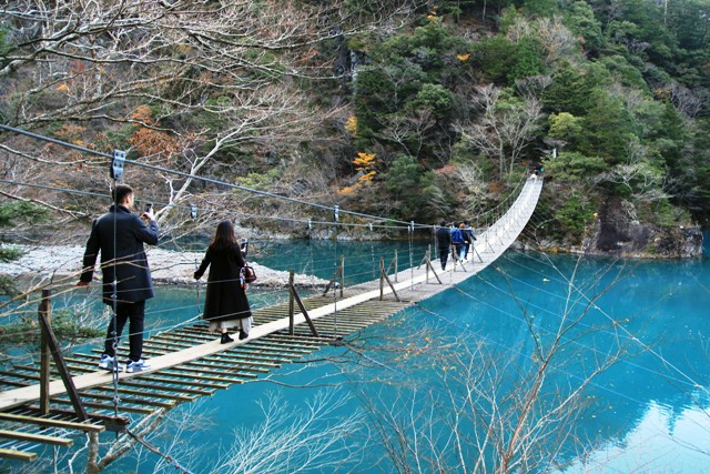 Tokyo Railway Labyrinth: Suspension Bridge of Dreams on the Ooigawa Railway