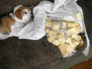 Three Kids on a Farm: Childhood Memories: Patsy's Decline