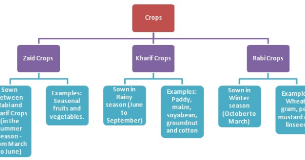 Crop Production and Management