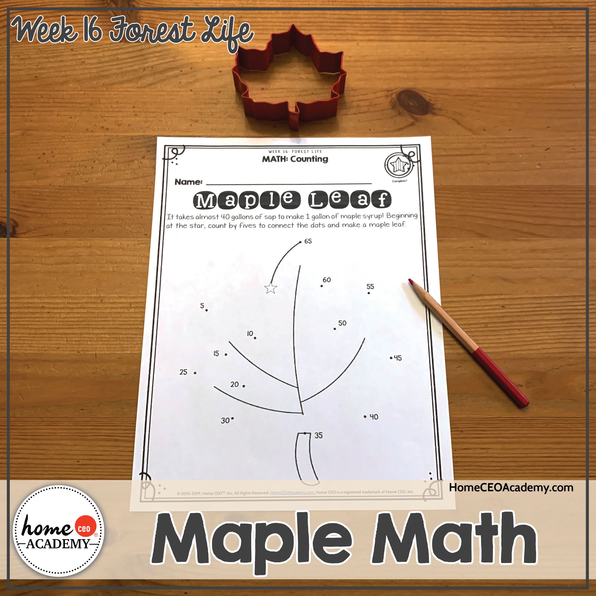 Preschool Habitats: Forest Theme by Home CEO Academy