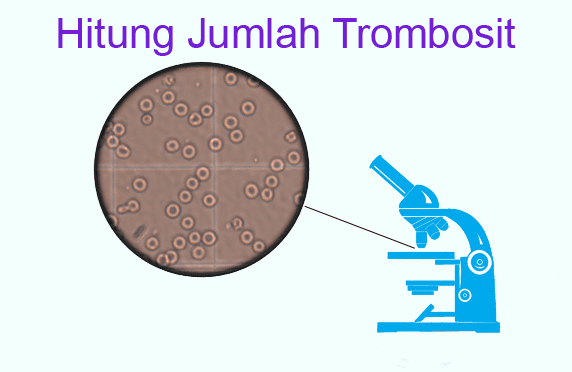 Pemeriksaan Hitung Jumlah Trombosit - Medkes Lab