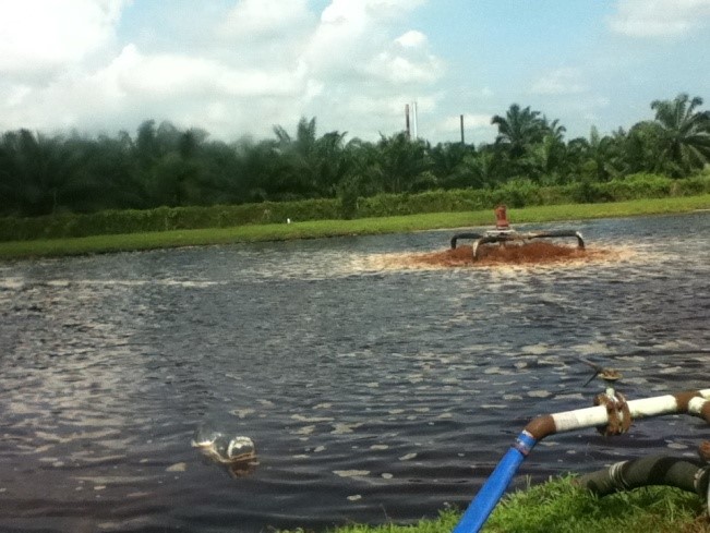 FiSH: Composting at Jugra Palm Oil Mill