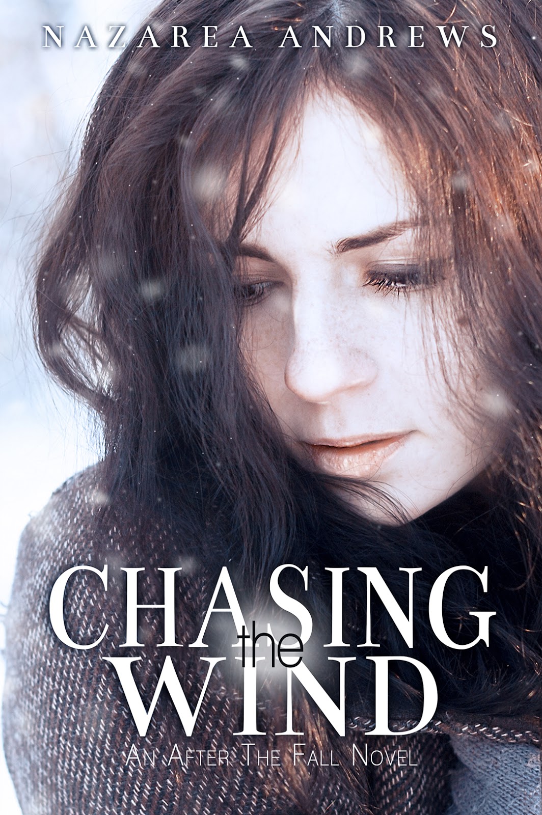One Guy's Guide to Good Reads: Chasing the Wind (After the Fall #2) by ...