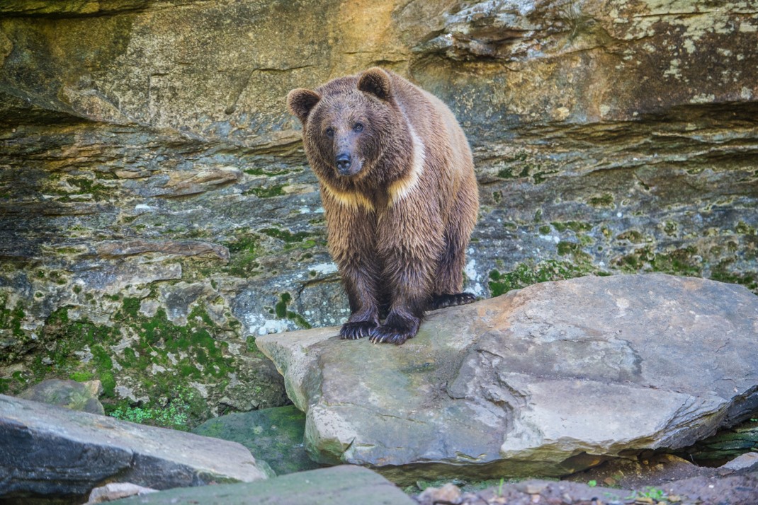 Kansas Transportation: Motoring Mondays: The Riverside Park and Ralph ...