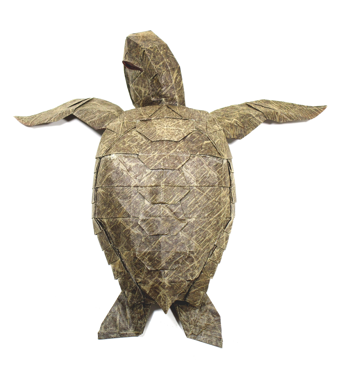 Mariano-Mi mundo el Origami: Green Sea Turtle