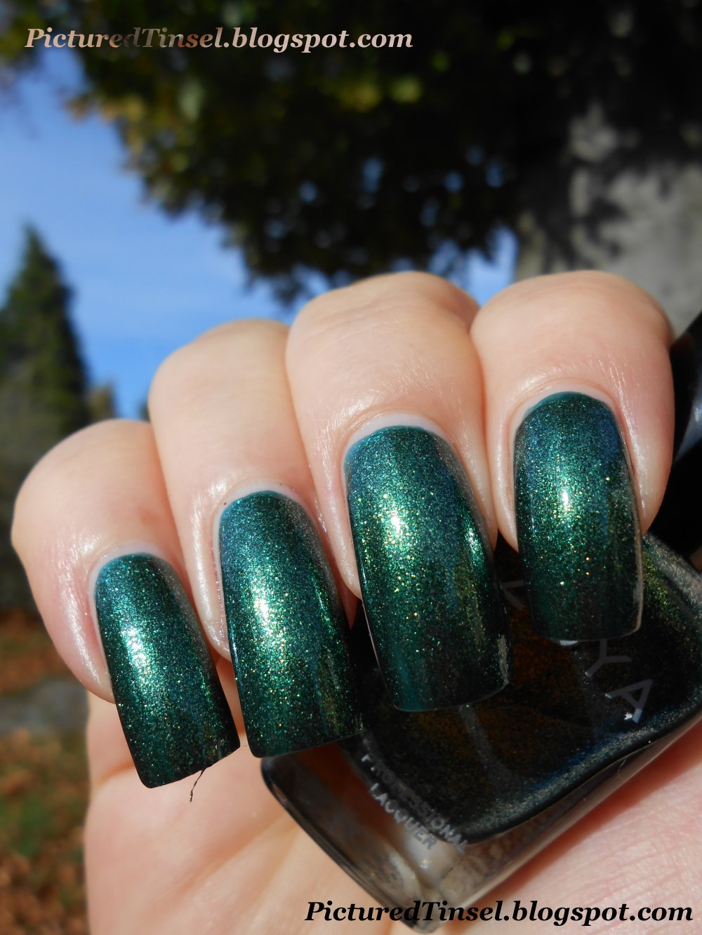 PicturedTinsel: Zoya Logan - Zoya Ornate Collection