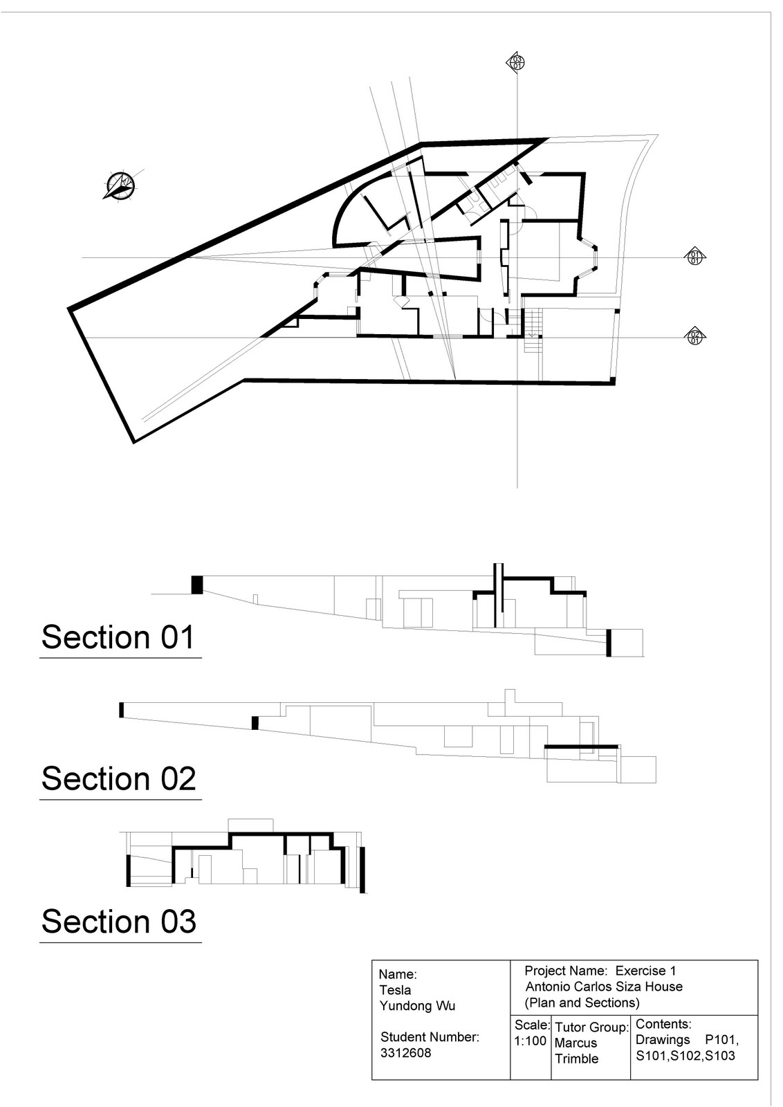 Tesla's Citadel: Antonio Carlos Siza House Project Drawings and Photos ...