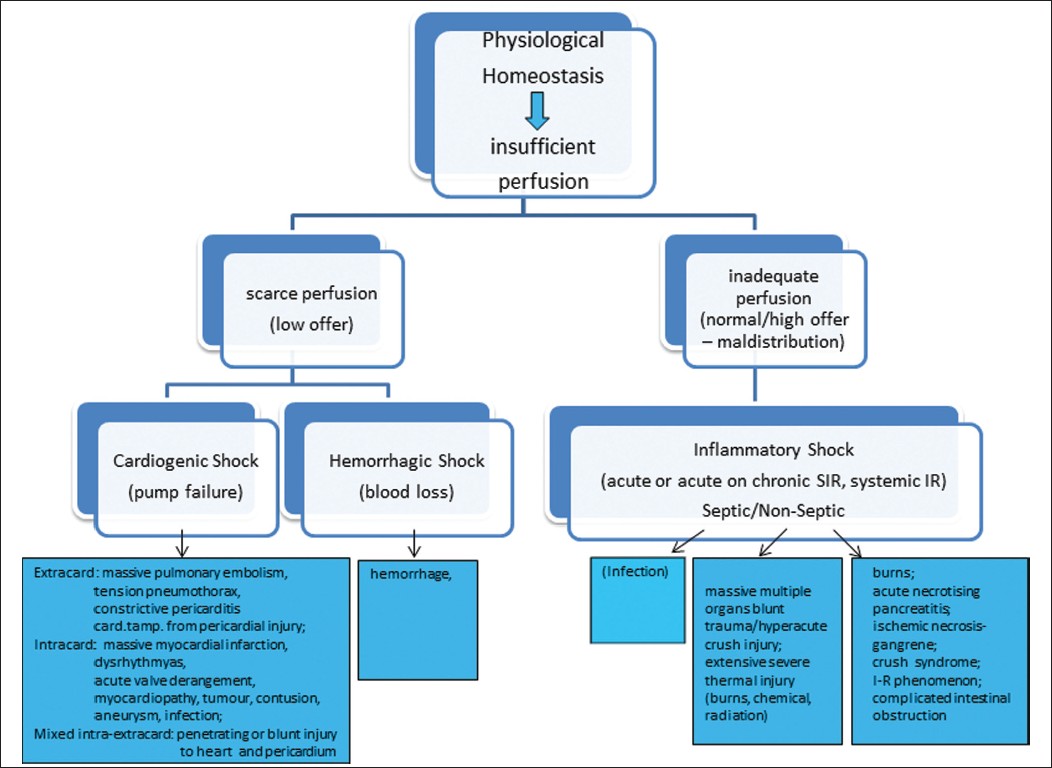 Medical & Surgical Emergencies and Intensive Care: Shock