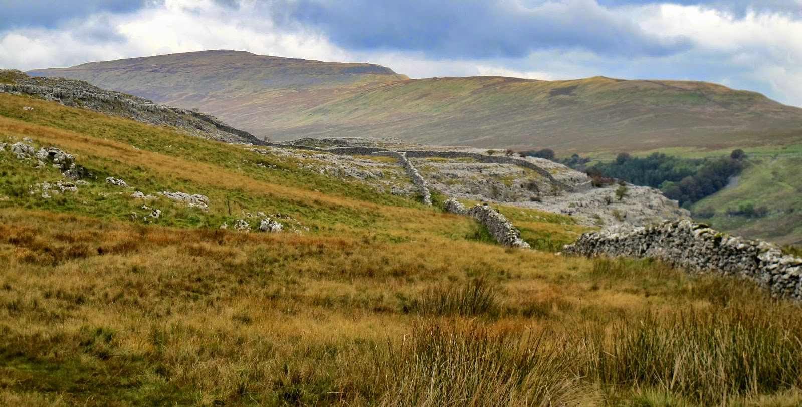 The Adventures of Skooby Blue (and Simon too): Kingsdale & Keld Head Scar