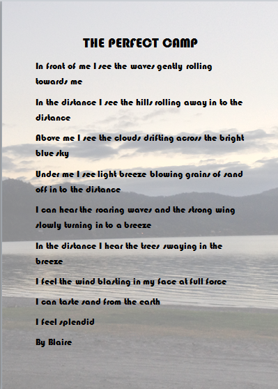 Blaire @ Mokoia Intermediate: My Camp Poem