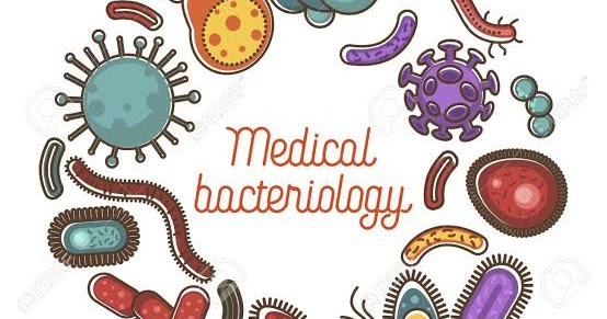 Bacteriology made easy