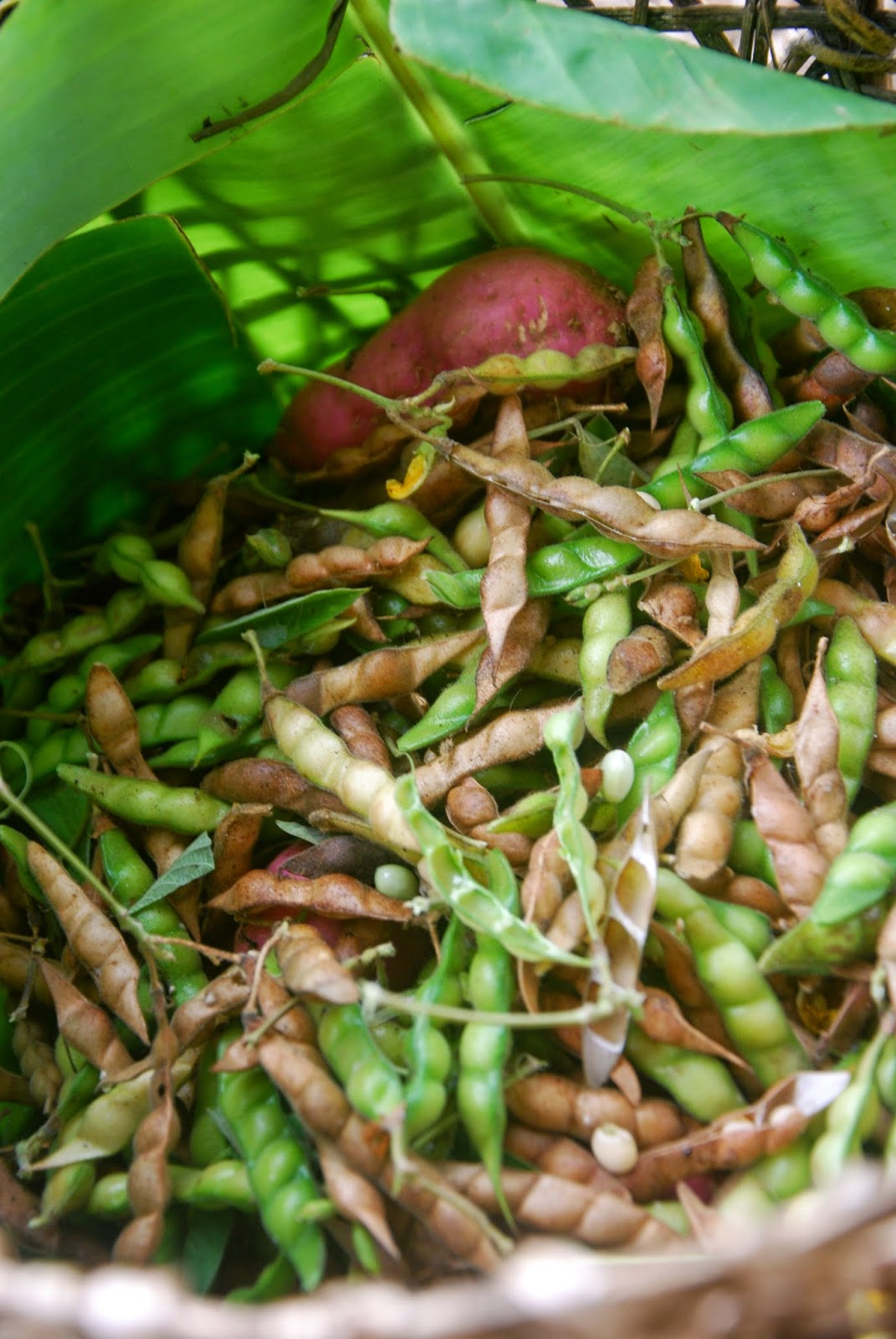 Smooth Escape: 04/01/2014 - 05/01/2014