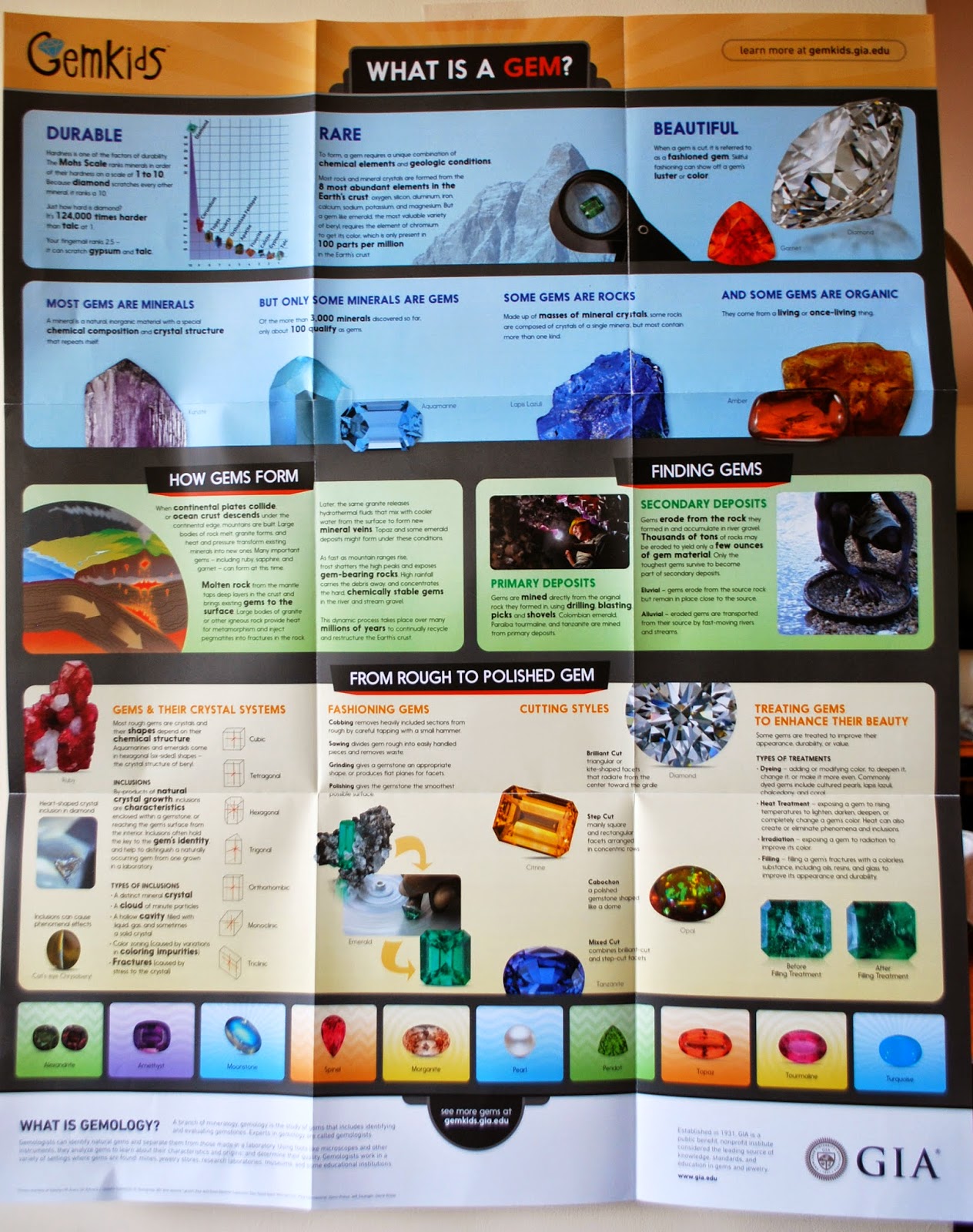 Magnolia Preparatory Academy: 10/12/14 - 10/19/14