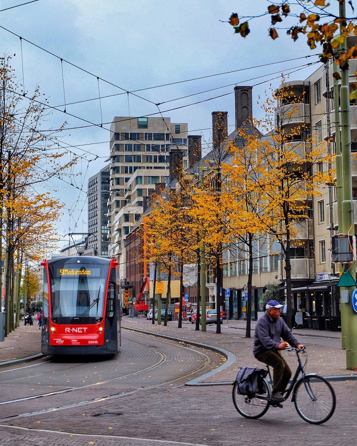 3 Months Living in Rotterdam (2017): Urban Management and Development ...