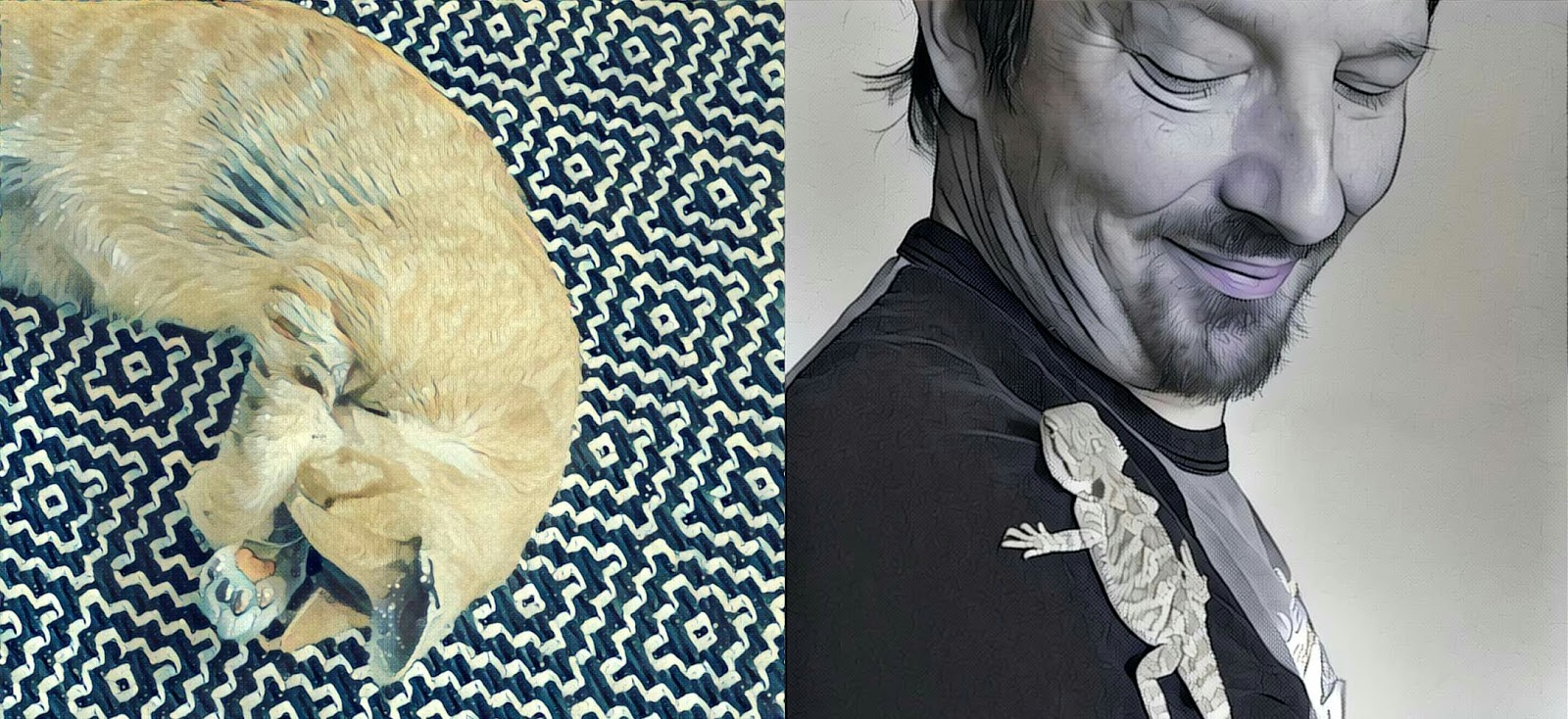 Cat / Girl / Lizard / Boy: About Cat Girl & Lizard Boy