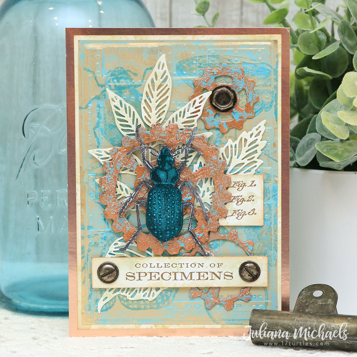 Salvaged Patina Distress Ink | Collection of Specimens Card - 17turtles ...