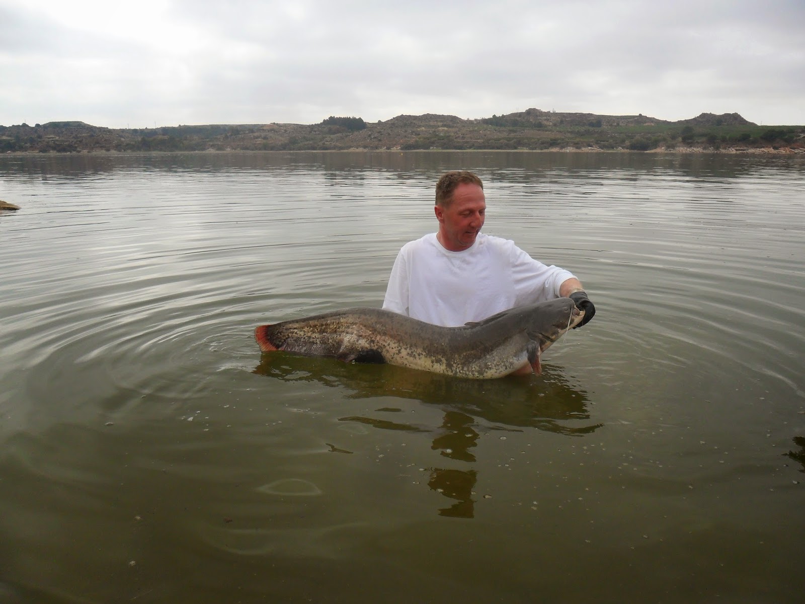 Kenart Wobleromania: WYPRAWA NA SUMY EBRO w HISZPANI 2014