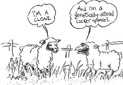 World of Biochemistry (blog about biochemistry): Cartoon about cloning (2)