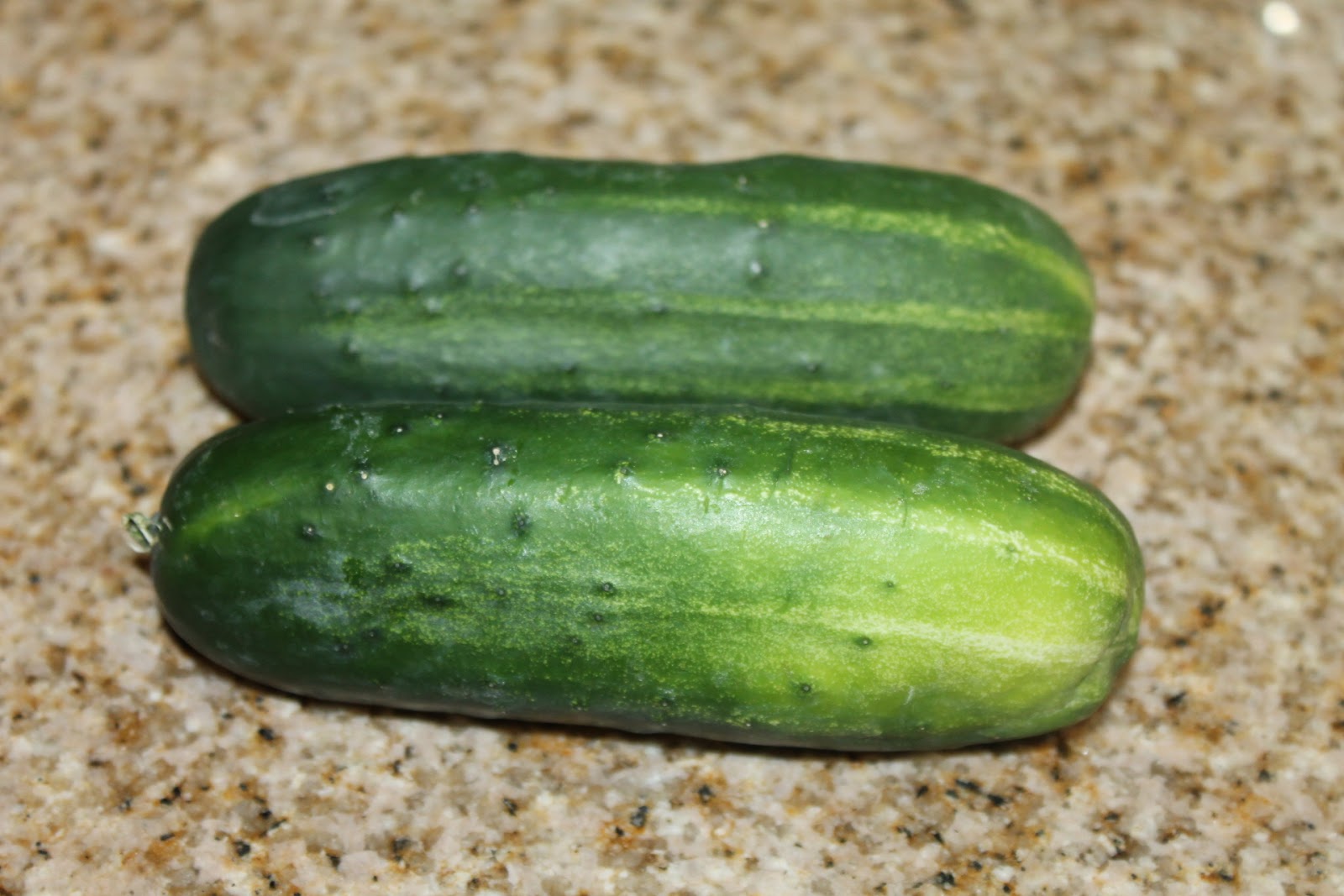 VineelaSiva: Cucumber Raita (Easy Way in the chopper)