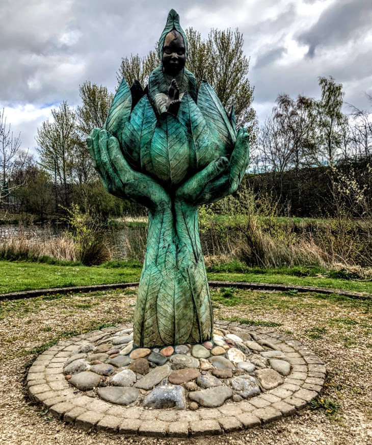 Patrick Comerford: A walk through woodlands in Tymon Park with its ...